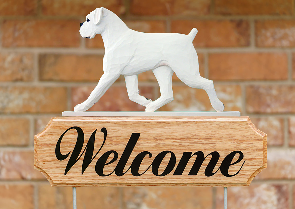 Boxer Natural Ears White - Michael Park Collection Dog in Gait Welcome