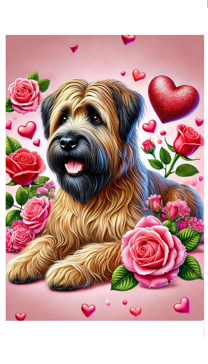 Briard Fawn - Best of Breed DCR Valentines Day Outdoor House and Garde
