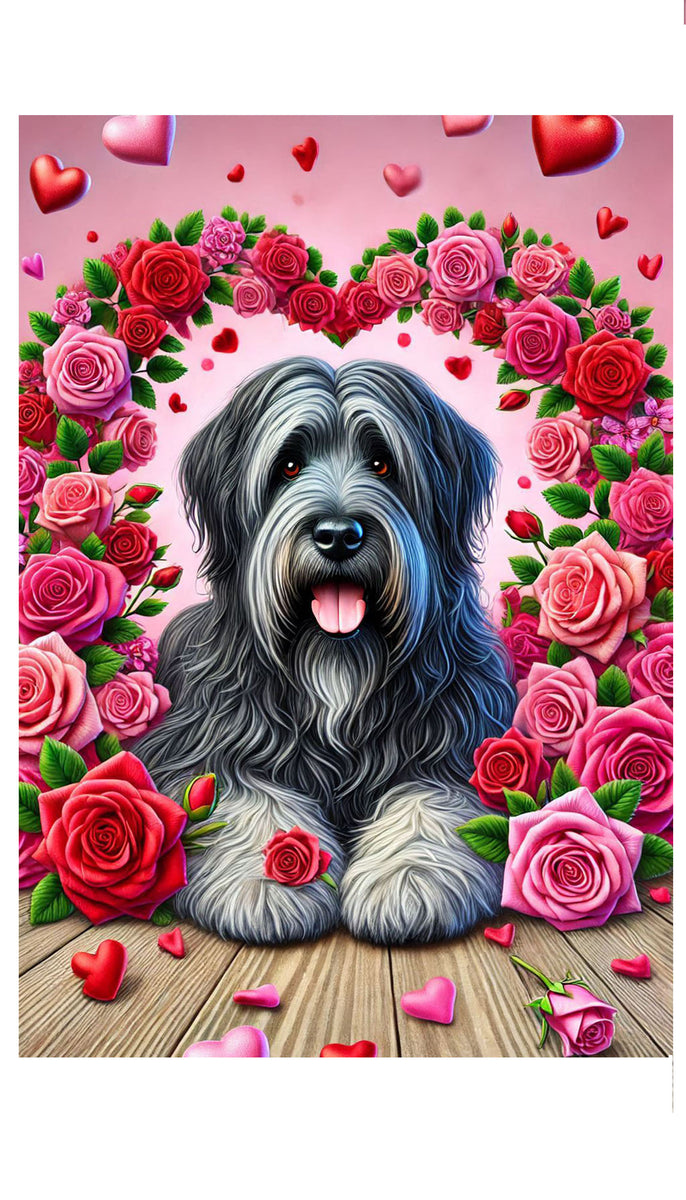 Briard Grey - Best of Breed DCR Valentines Day Outdoor House and Garde