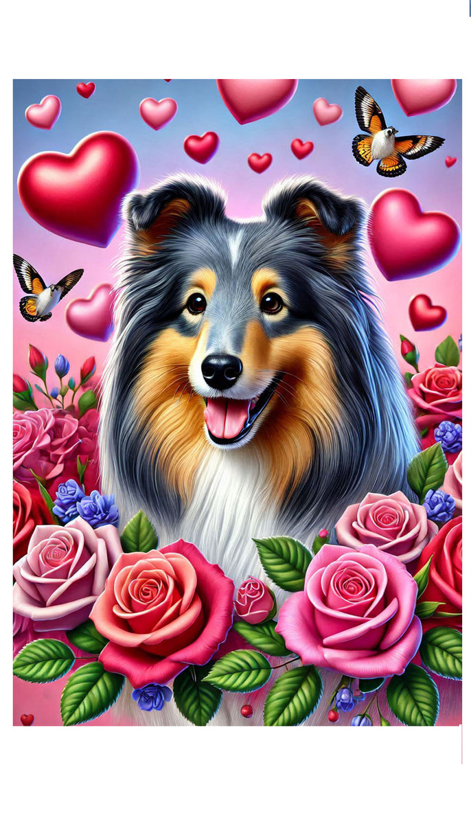 Sheltie Blue Merle - Best of Breed DCR Valentines Day Outdoor House an