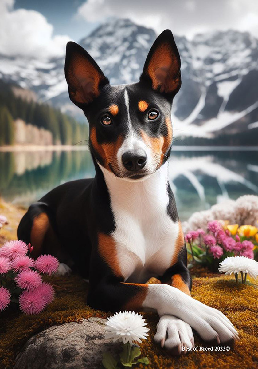 Basenji Tri - Best of Breed DCR Spring Outdoor Flag