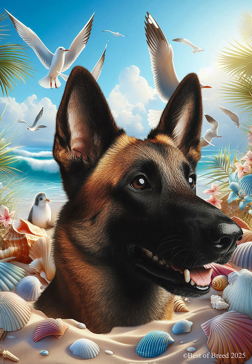 Belgian Malinois - Best of Breed Summer Beach Outdoor House and Garden