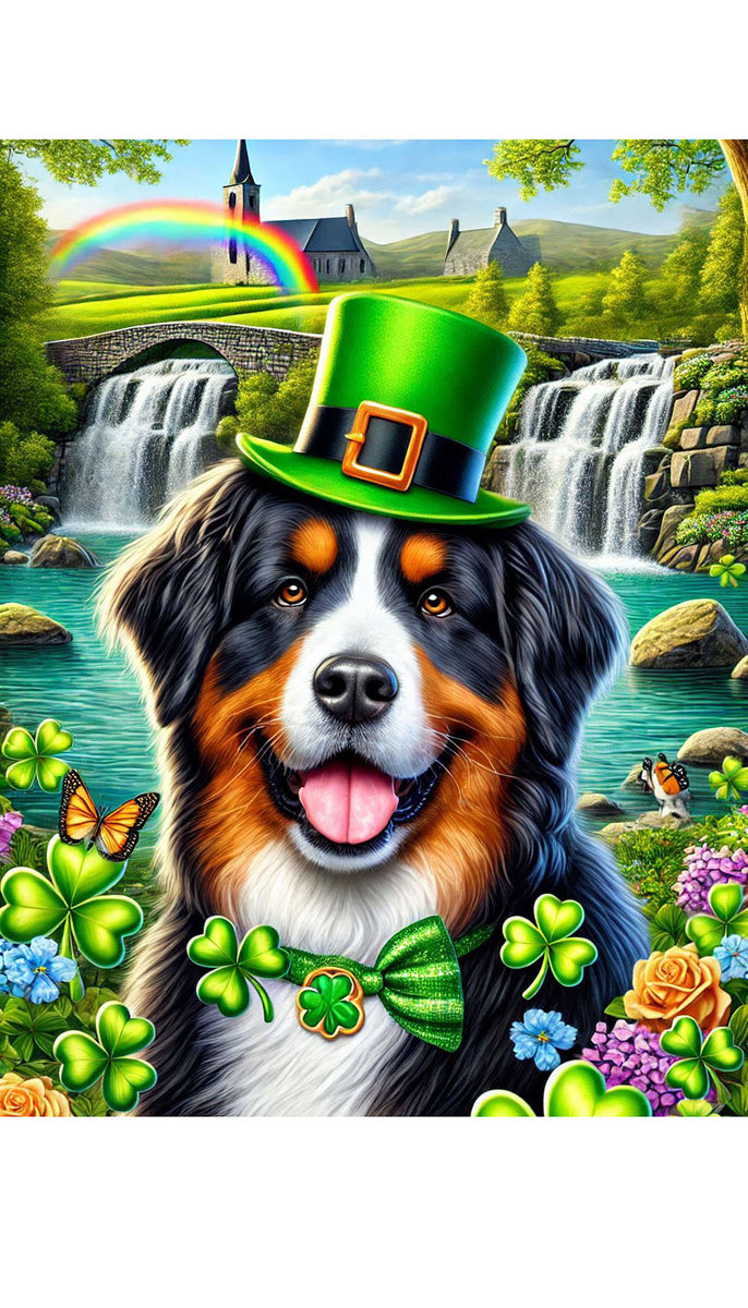 Bernese Mountain Dog - Best of Breed DCR Saint Patricks Day Day Outdoo