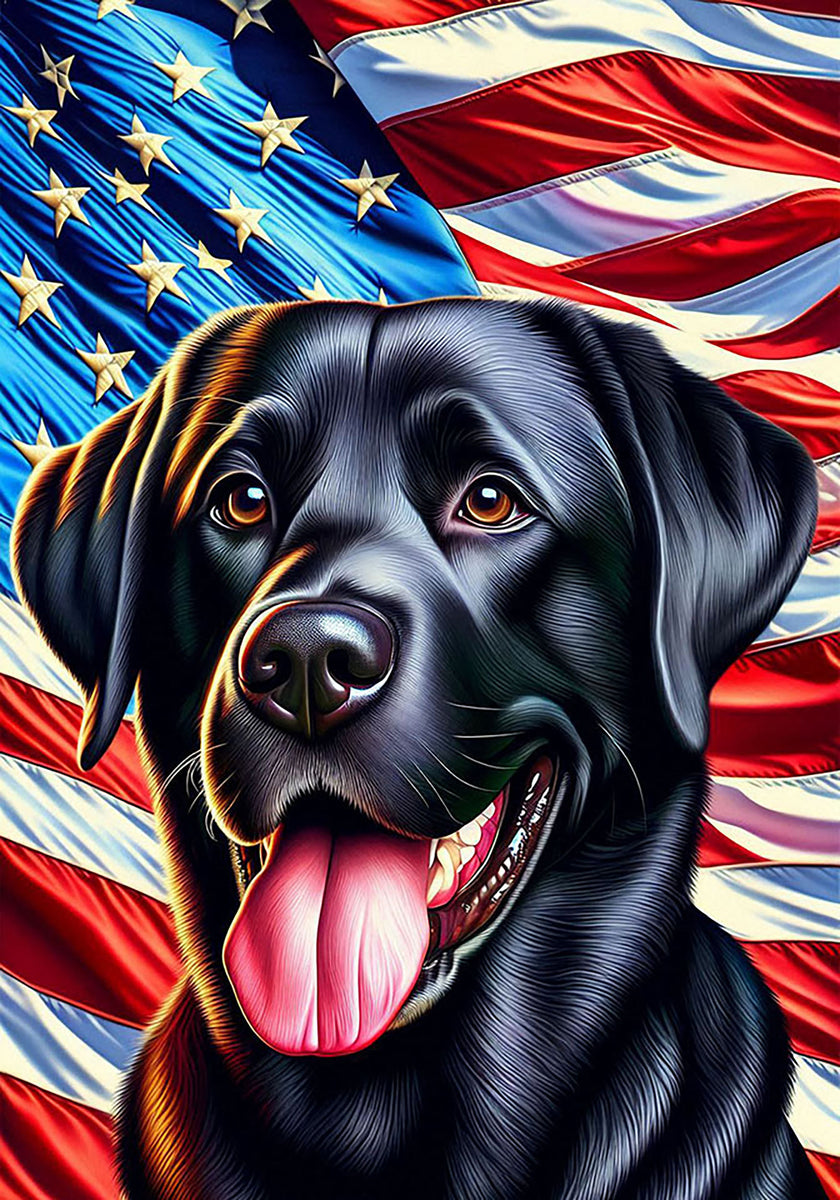 Black Labrador - Best of Breed DCR Patriotic III Outdoor House and Gar
