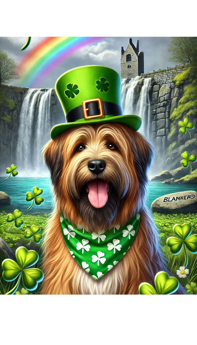 Briard Fawn - Best of Breed DCR Saint Patricks Day Day Outdoor House a