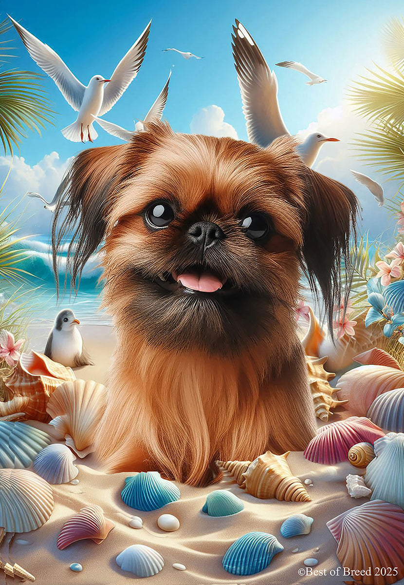 Brussels Griffon - Best of Breed Summer Beach Outdoor House and Garden