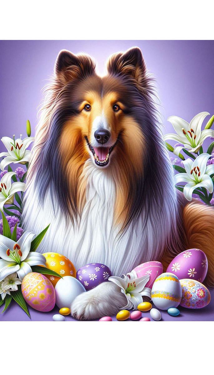 Collie Sable - Best of Breed DCR Easter Holiday Outdoor House and Gard