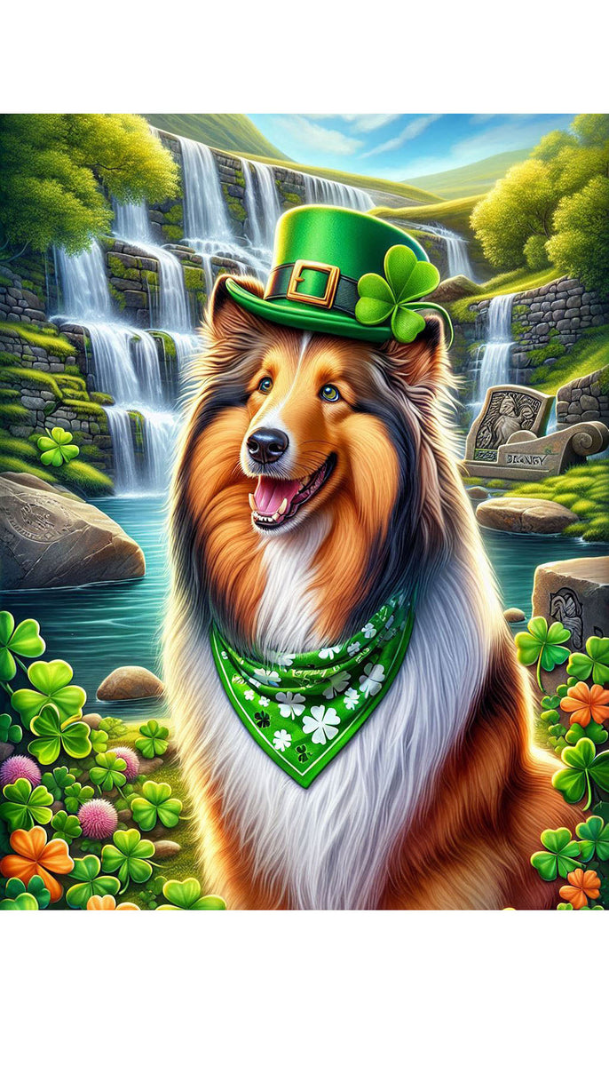 Collie Sable - Best of Breed DCR Saint Patricks Day Day Outdoor House