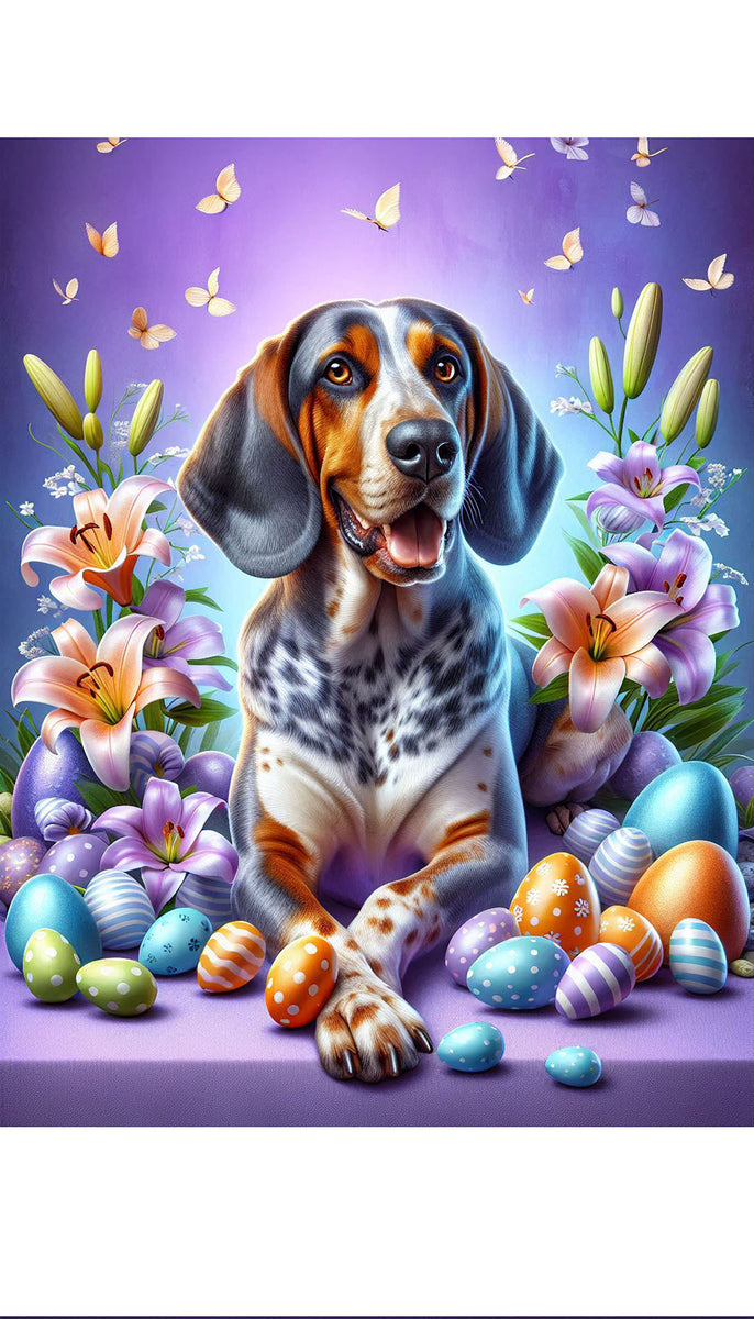 Blue Tick Coonhound - Best of Breed DCR Easter Holiday Outdoor House a