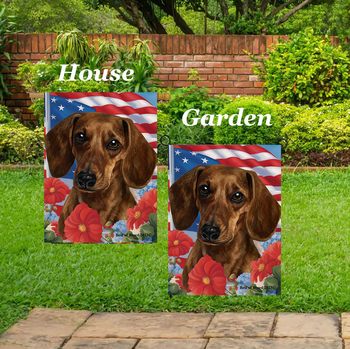 Dachshund Red Smooth - Best of Breed Patriotic I All-American Outdoor