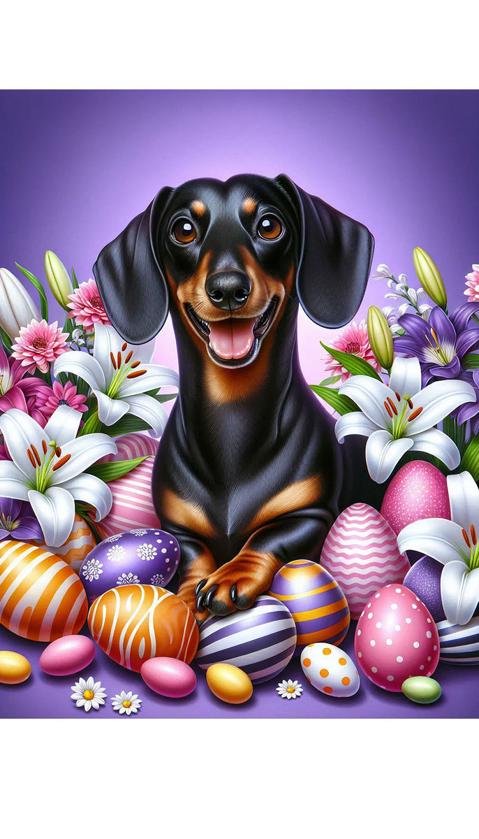 Dachshund Black/Tan Smooth - Best of Breed DCR Easter Holiday Outdoor