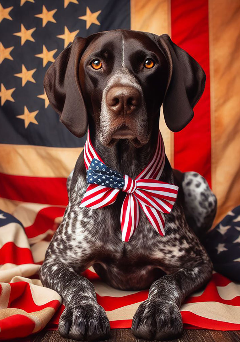 German Shorthair Pointer - Best of Breed DCR Patriotic I Outdoor Flag