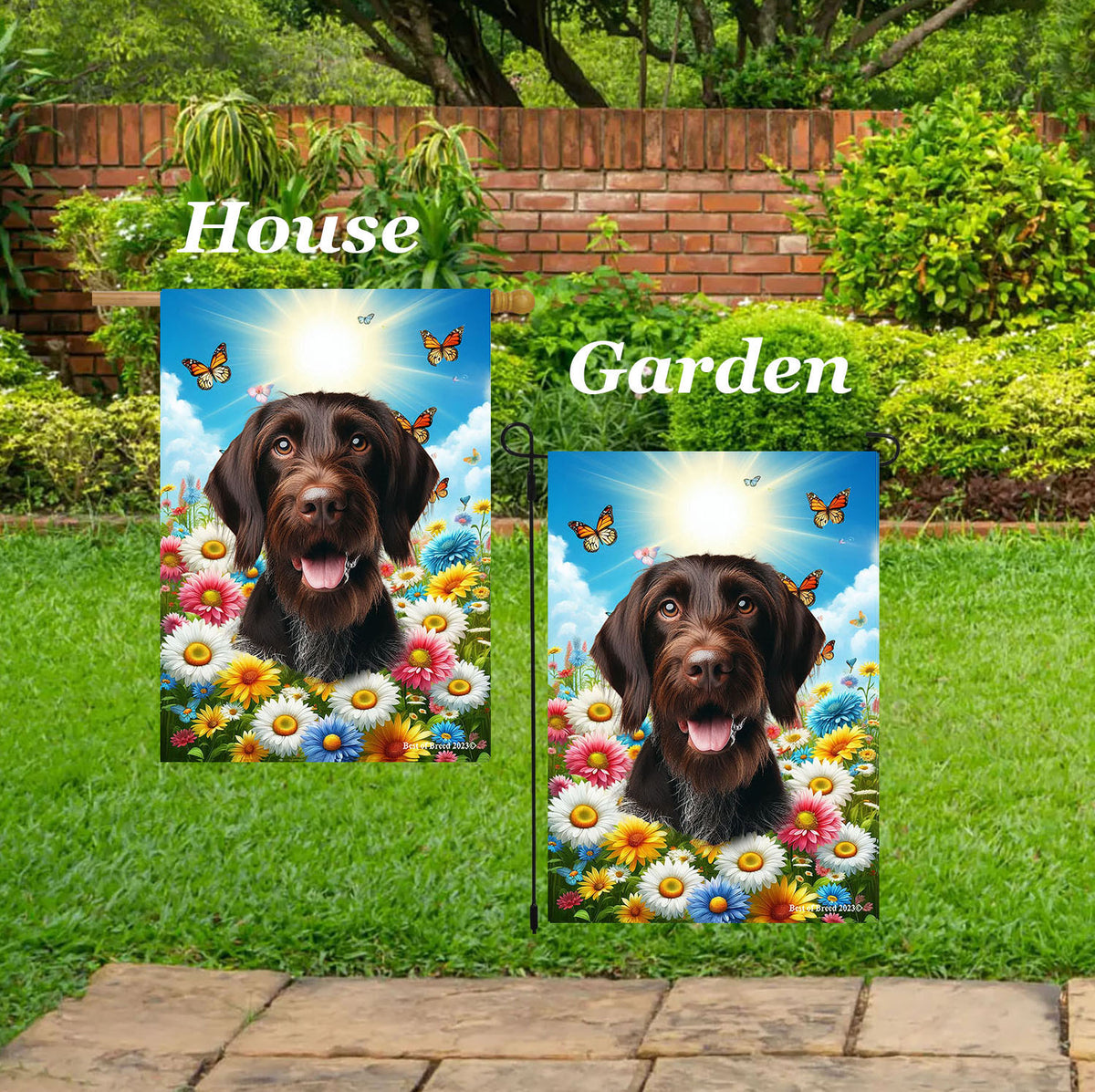 German Wirehaired Pointer - Best of Breed Summer Butterflies Outdoor H