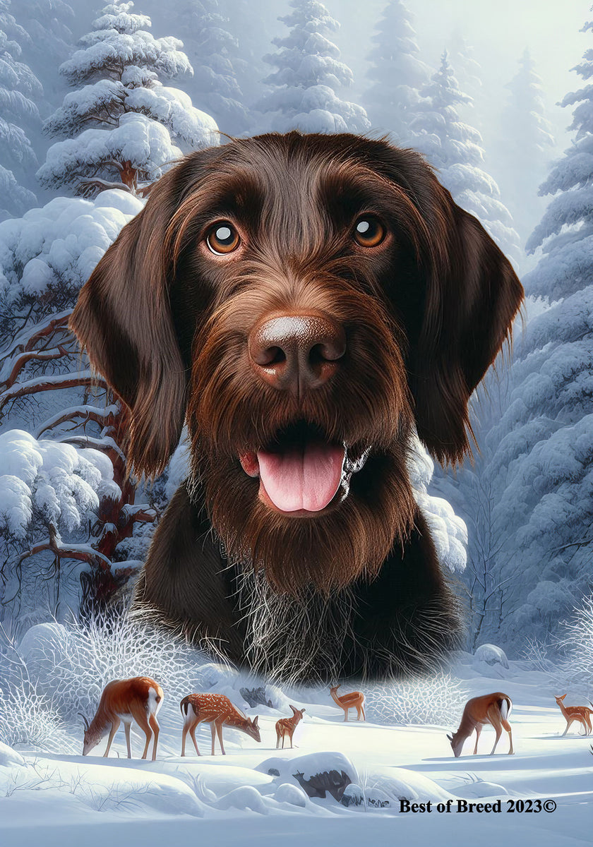 German Wirehaired Pointer - Best of Breed Winter Wonderland Outdoor Ho