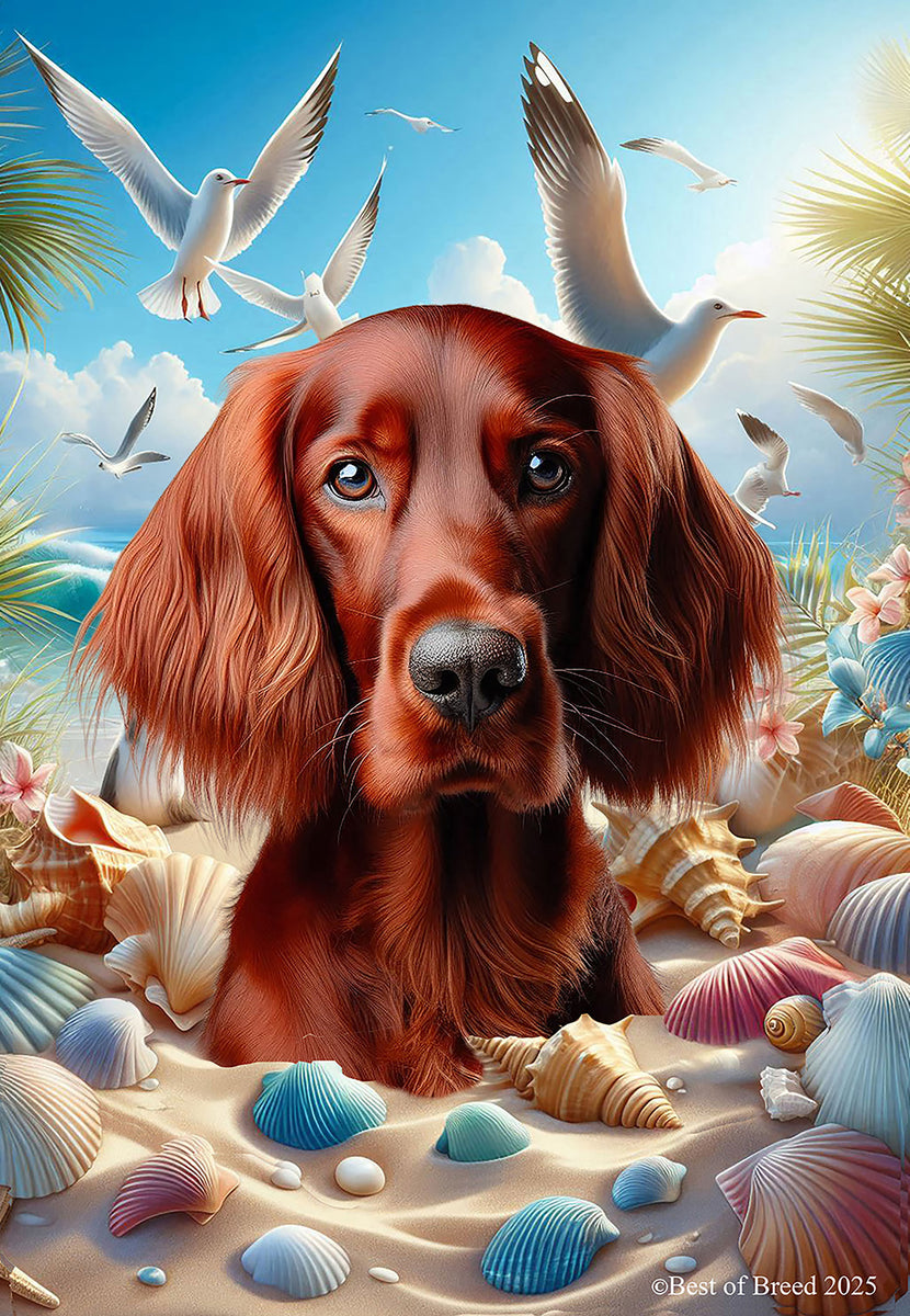 Irish Setter - Best of Breed Summer Beach Outdoor House and Garden Fla