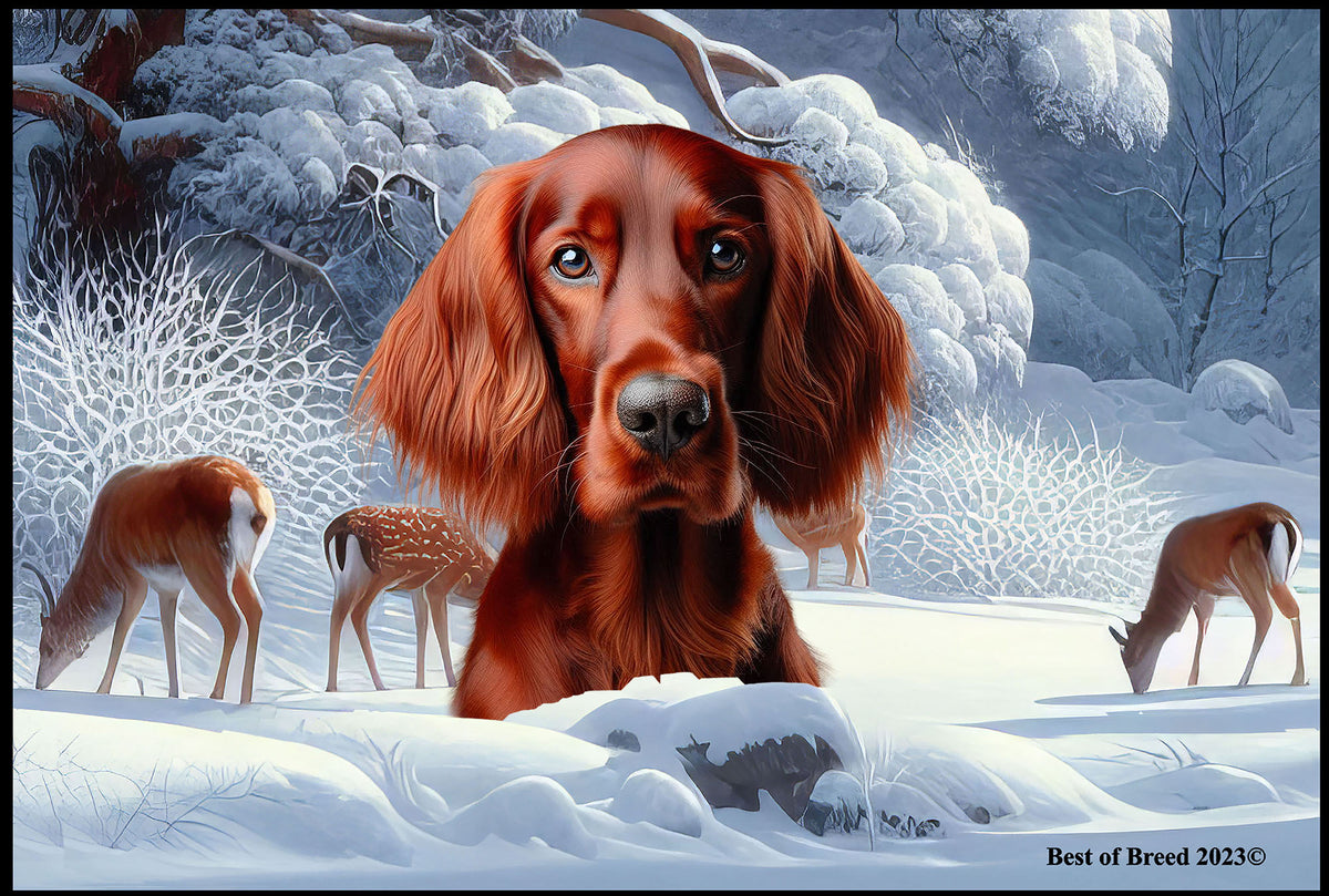 Irish Setter - Best of Breed Winter Wonderland Floor Mat Tufted Loop 1