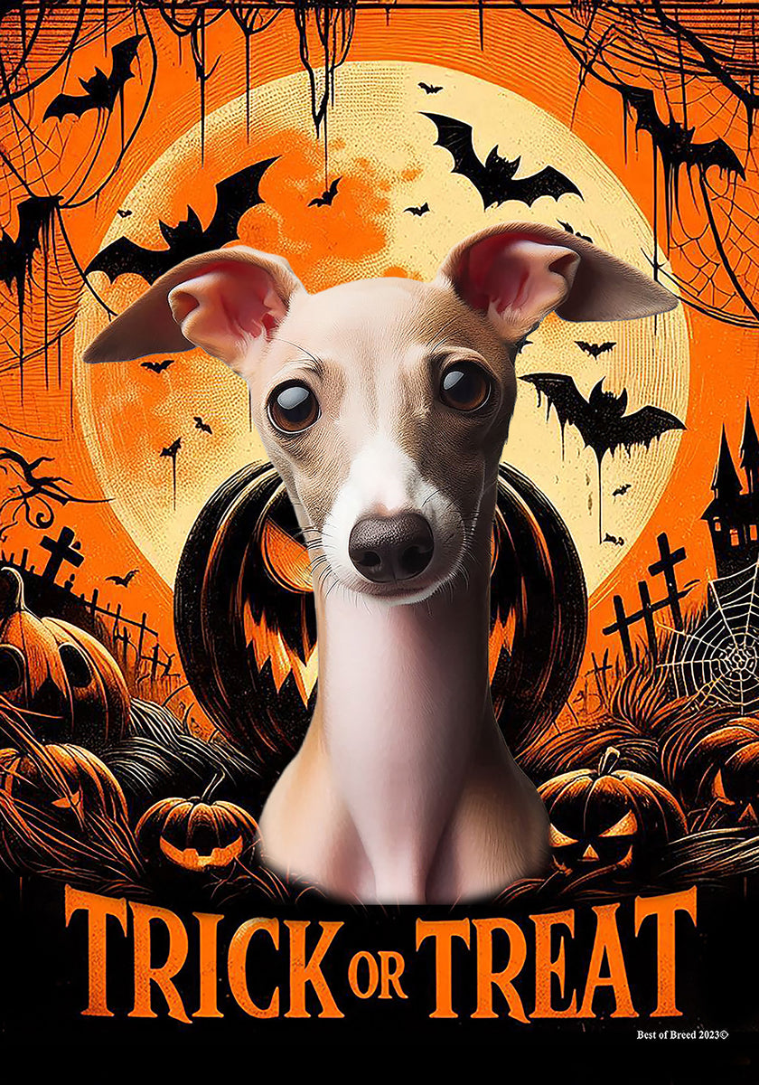 Italian Greyhound Fawn/White - Best of Breed Halloween Outdoor House a