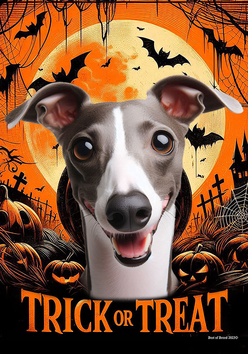 Italian Greyhound Grey/White - Best of Breed Halloween Outdoor House a