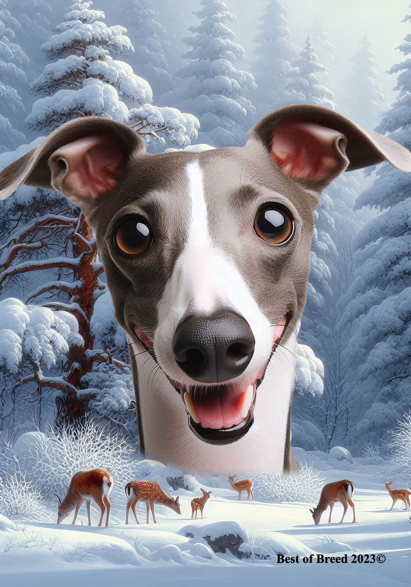 Italian Greyhound Grey/White - Best of Breed Winter Wonderland Outdoor