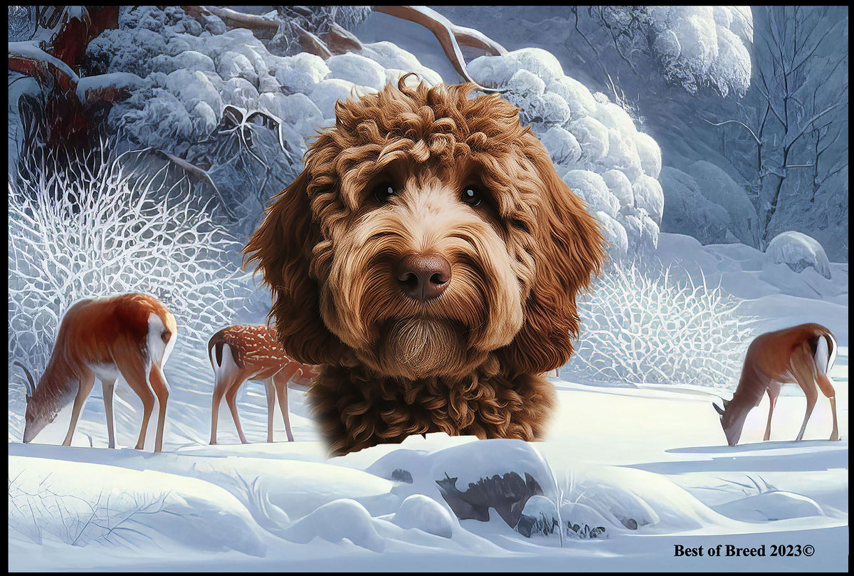 Labradoodle Chocolate - Best of Breed Winter Wonderland Floor Mat Tuft