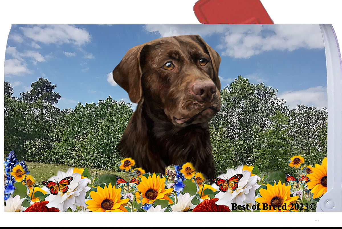 Chocolate Labrador - Best of Breed Summer Flowers Mailbox Cover Hi-Gra