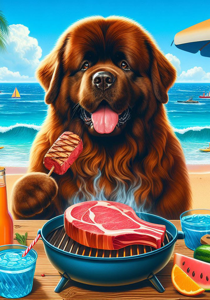 Newfoundland Chocolate - Best of Breed DCR Summer Outdoor Flag