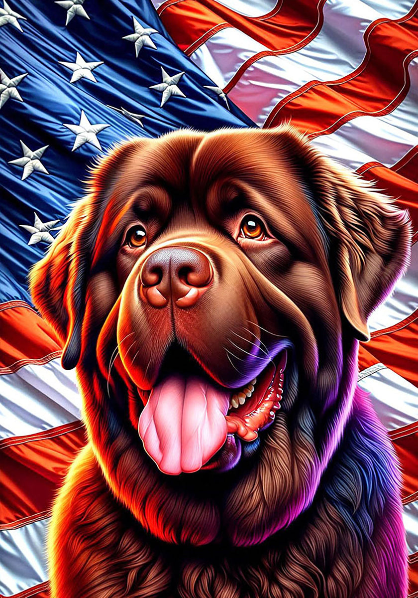 Newfoundland Chocolate - Best of Breed DCR Patriotic III Outdoor House