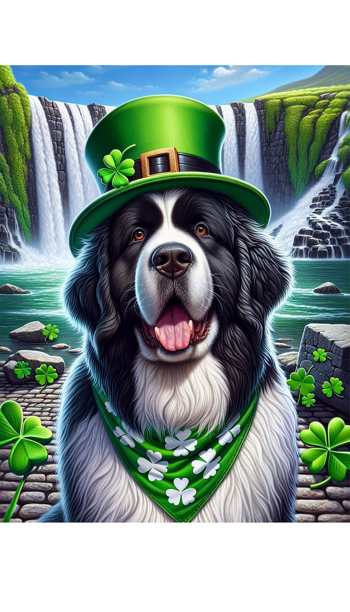 Newfoundland Landseer - Best of Breed DCR Saint Patricks Day Day Outdo