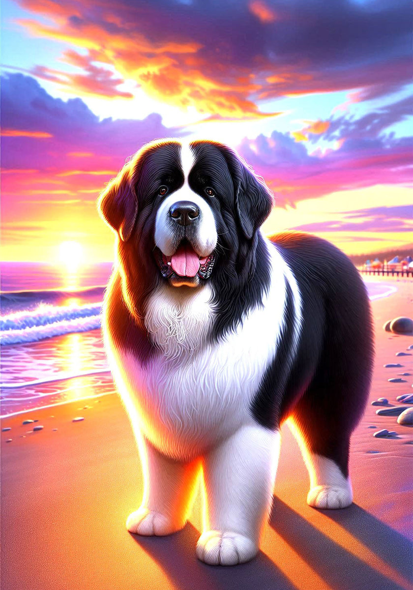 Newfoundland Landseer - Best of Breed DCR Summer Sunset Outdoor House