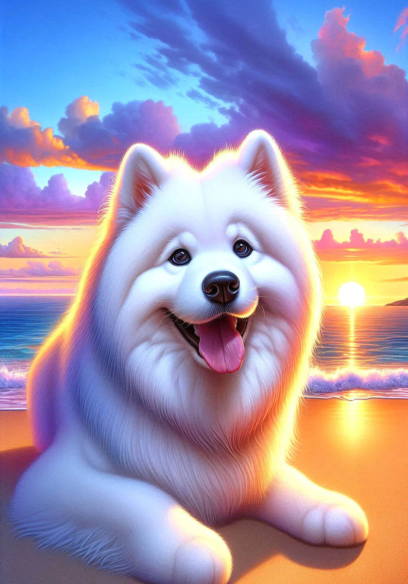 Samoyed - Best of Breed DCR Summer Sunset Outdoor House and Garden Fla