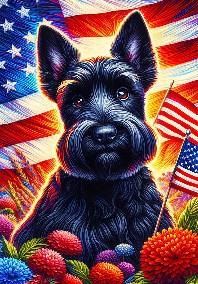 Scotty Black - Best of Breed DCR Patriotic I Outdoor Flag