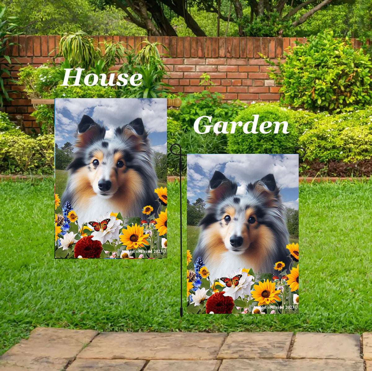 Sheltie Blue Merle - Best of Breed Summer Fields Outdoor House and Gar