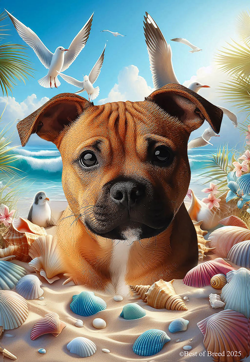 Staffordshire Bull Terrier Orange - Best of Breed Summer Beach Outdoor