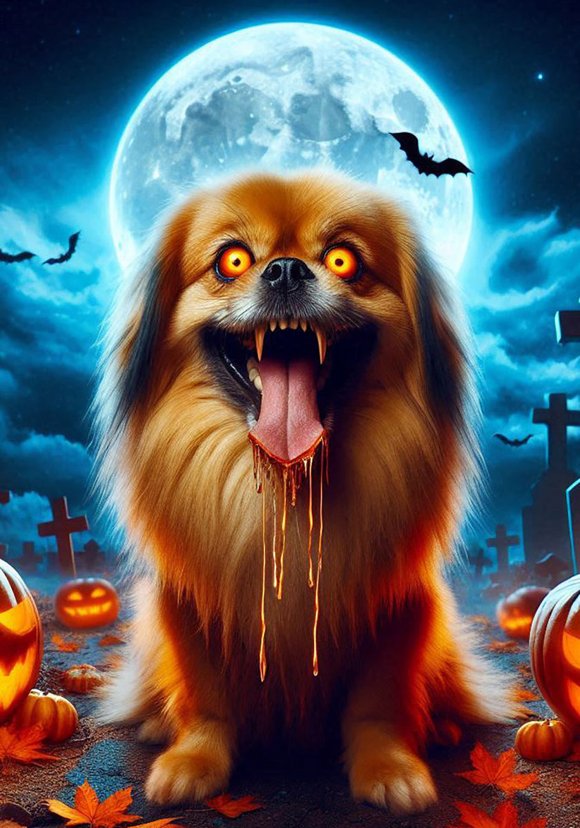 Tibetan Spaniel Fawn - Best of Breed DCR Halloween Outdoor House and G