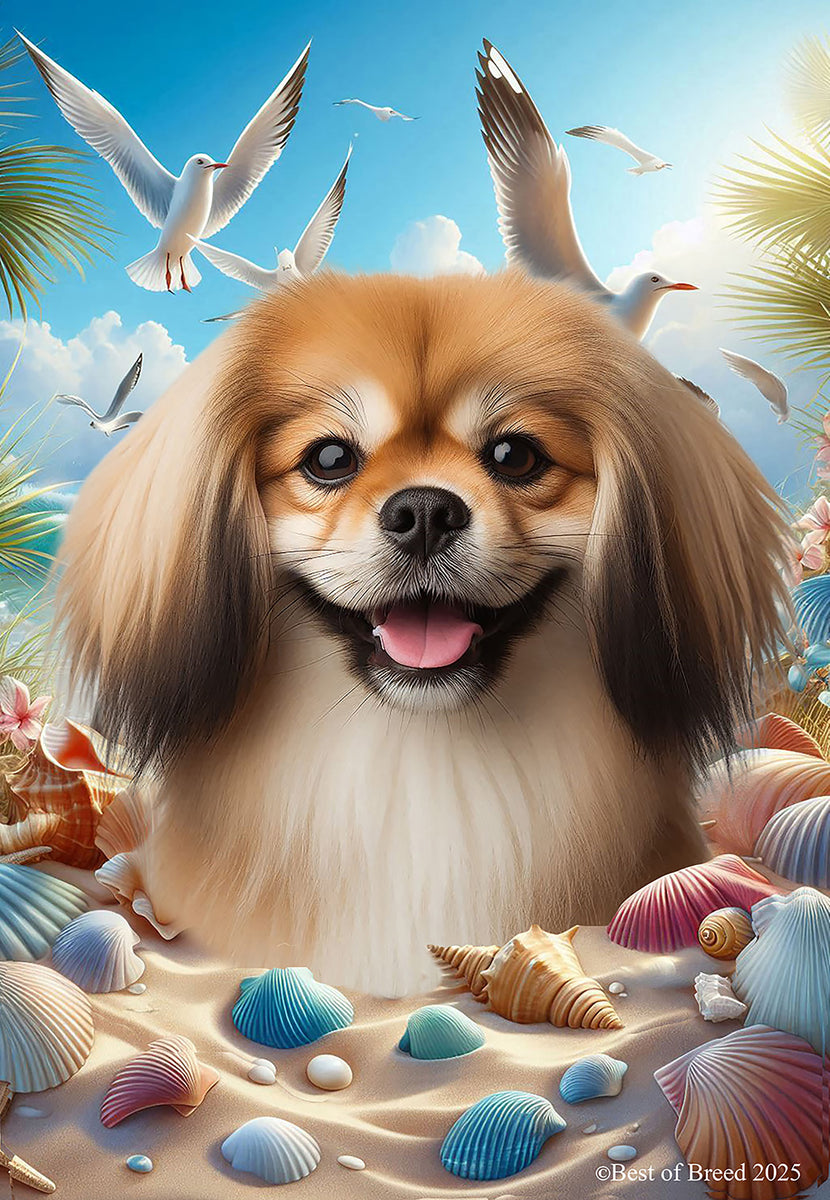 Tibetan Spaniel Fawn - Best of Breed Summer Beach Outdoor House and Ga