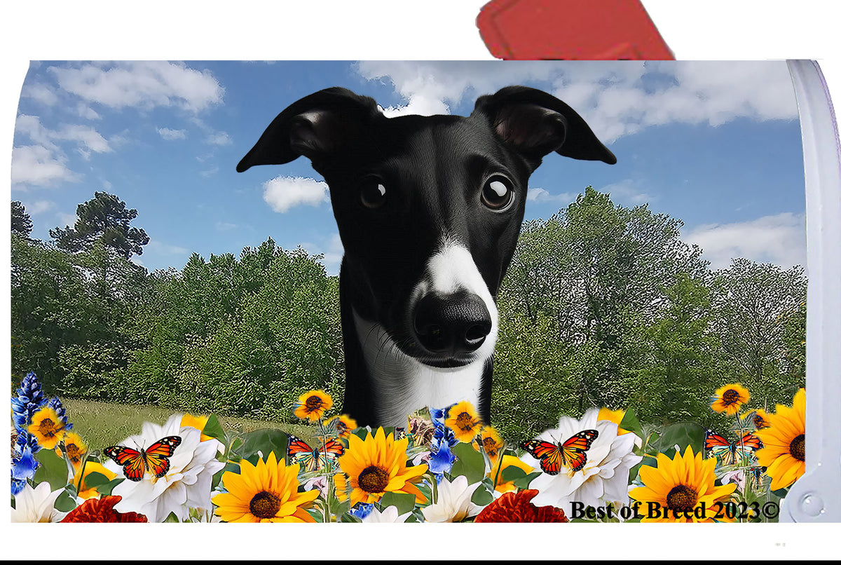 Whippet Black/White- Best of Breed Summer Flowers Mailbox Cover Hi-Gra