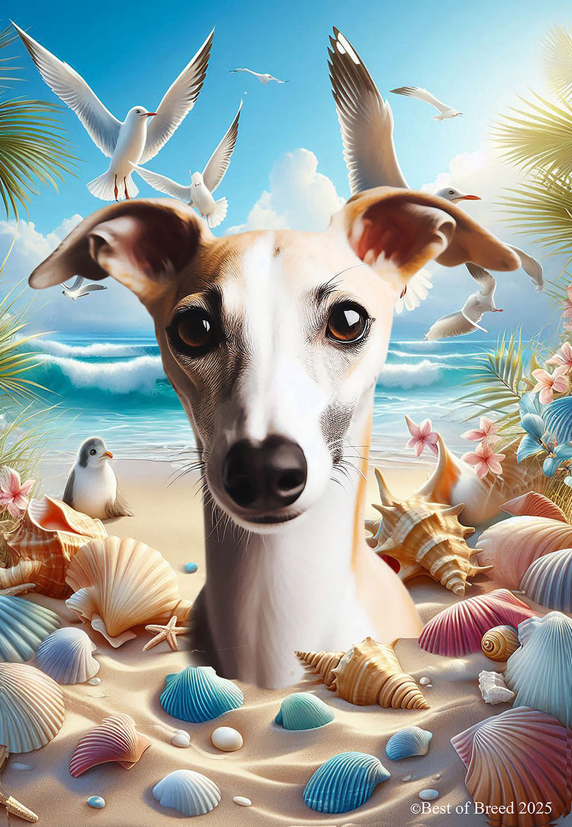 Whippet Fawn/White- Best of Breed Summer Beach Outdoor House and Garde
