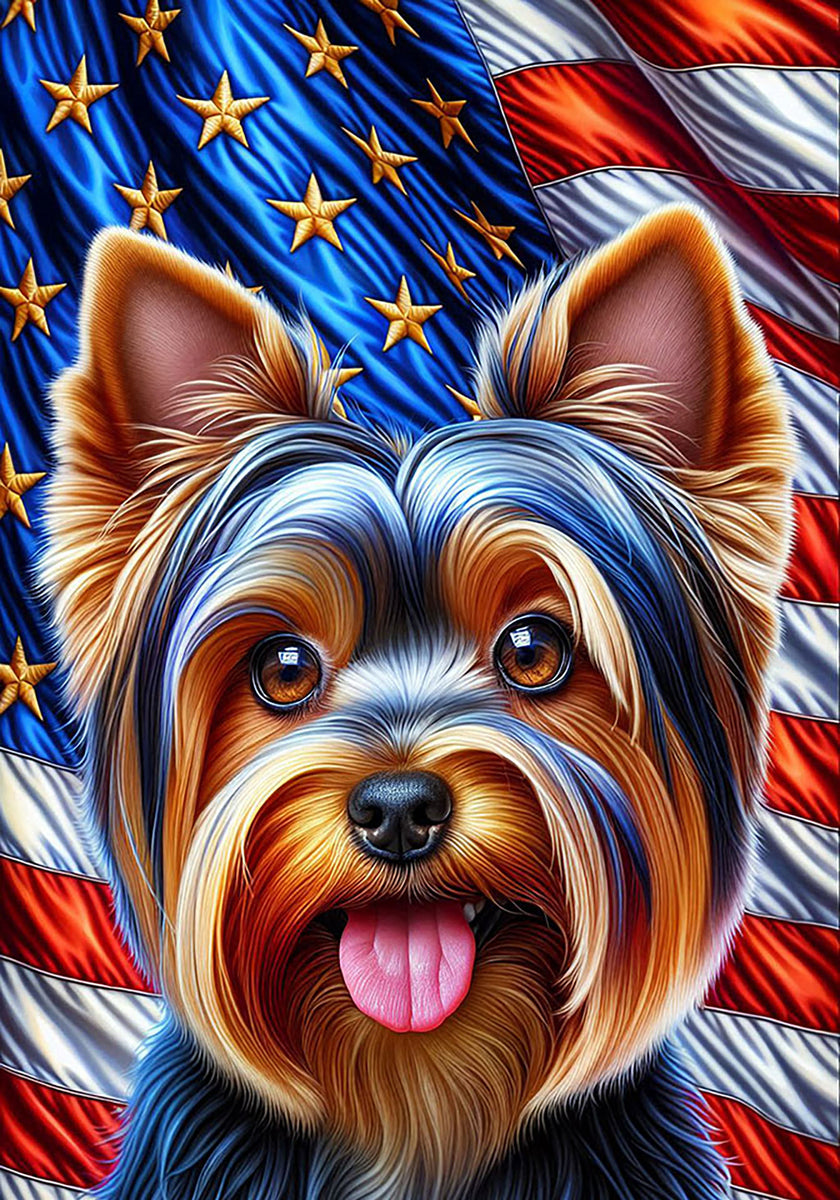 Yorkie Puppy Cut - Best of Breed DCR Patriotic III Outdoor House and G