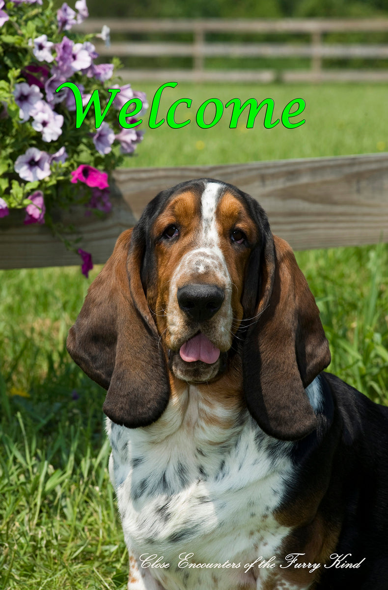 Basset Hound - Close Encounters of the Furry Kind Welcome House and Ga