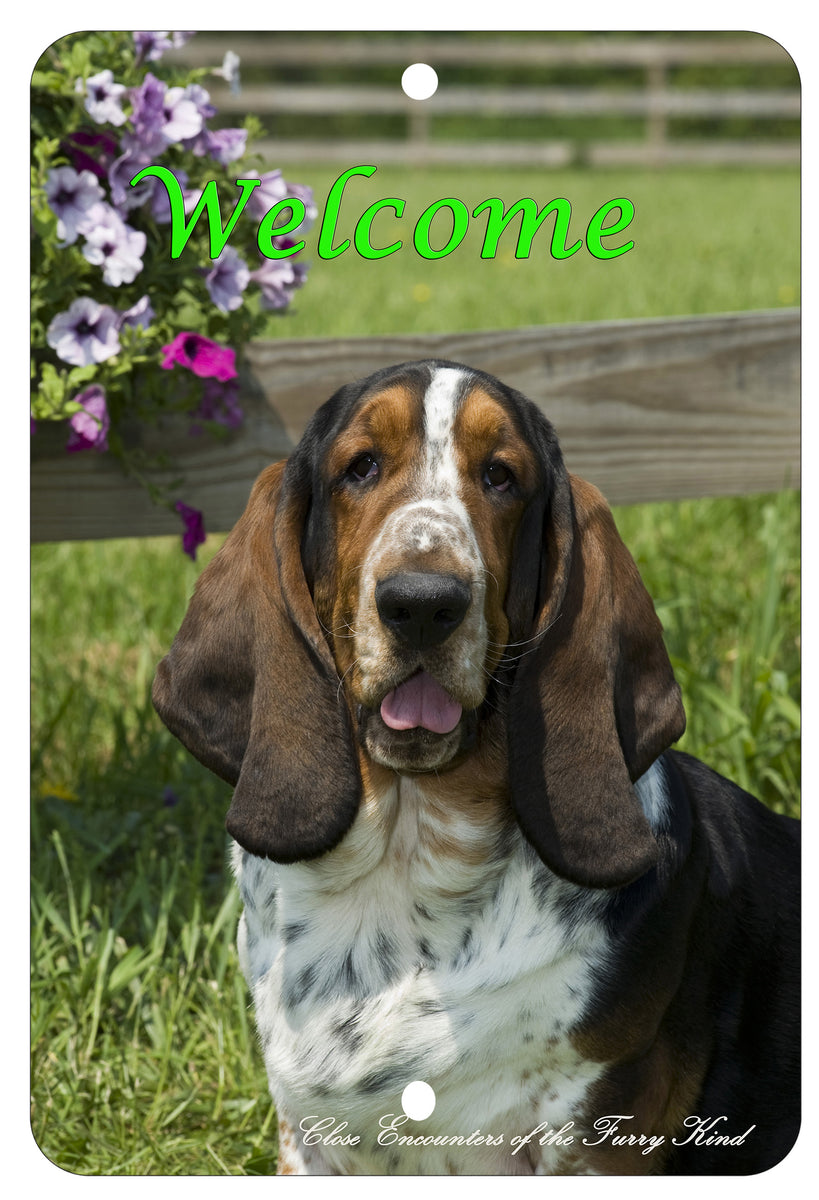 Basset Hound - Best of Breed Indoor/Outdoor Aluminum Sign 8" x 12"