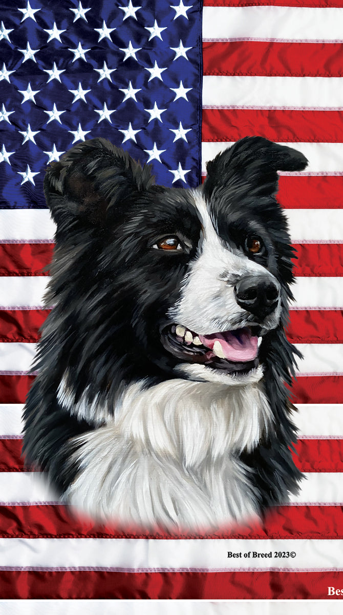 Border Collie - Best of Breed Patriotic Terry Velour Microfiber Beach