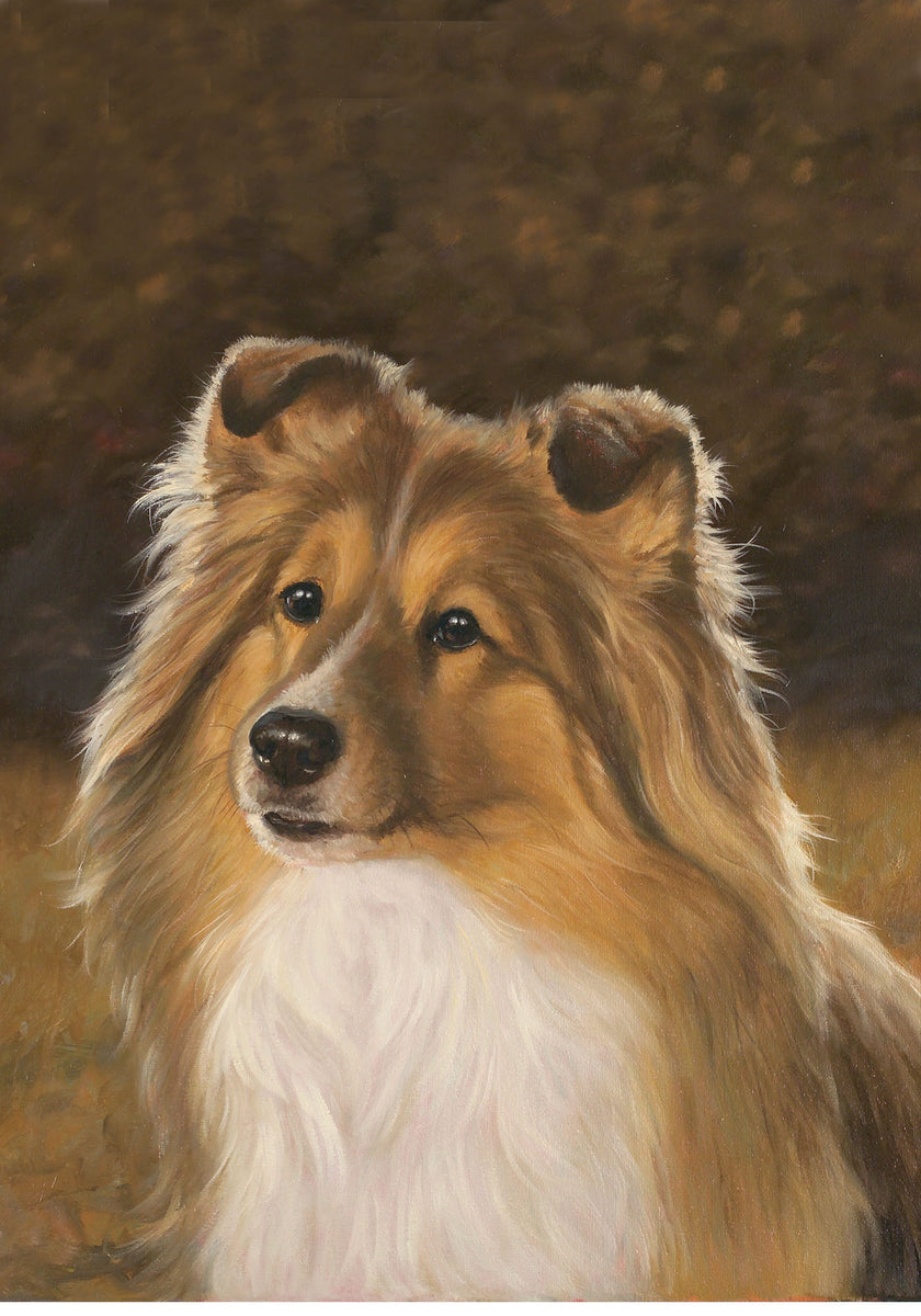 Sheltie - Best of Breed Portrait Outdoor Flag